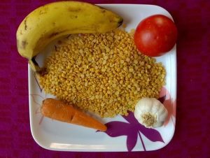 14 Uses Of Plants & Their Importance To Humans And Nature