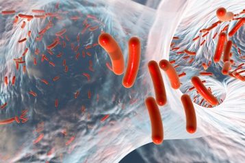 Classification Of Bacteria By Shapes & Characteristics