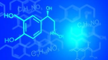 Organic Chemistry And Biochemistry | Similarities & Differences | Study ...