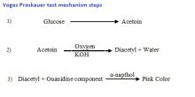 Voges Proskauer Test | Principle, Procedure & Application