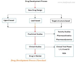 Drug Development Process| Overview Of Preclinical & Clinical Phases